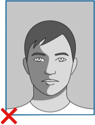 Netherlands Passport Photo Requirements 2026 - Official 35×45mm ...